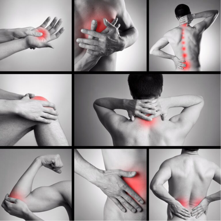 About DNS – The DNS Expert – Dynamic Neuromuscular Stabilization Coaching